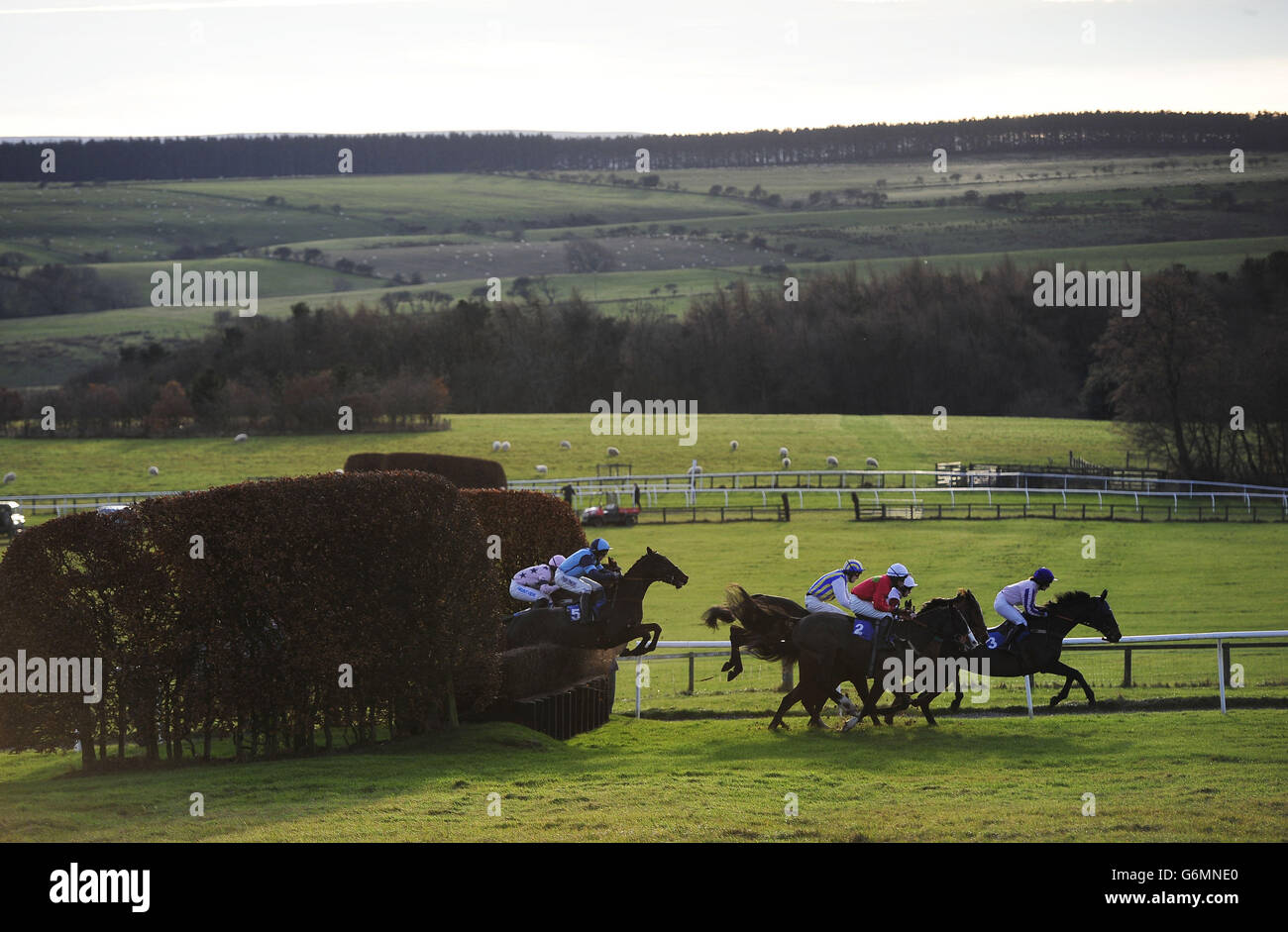 Horse racing hexham racecourse hi-res stock photography and images - Alamy