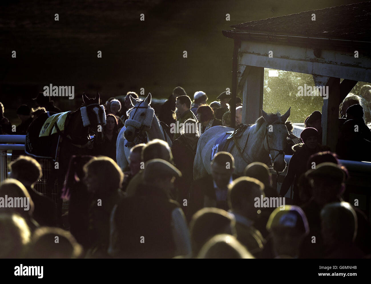 Horse Racing - Hexham Racecourse. A low winter sun lights the horses in ...