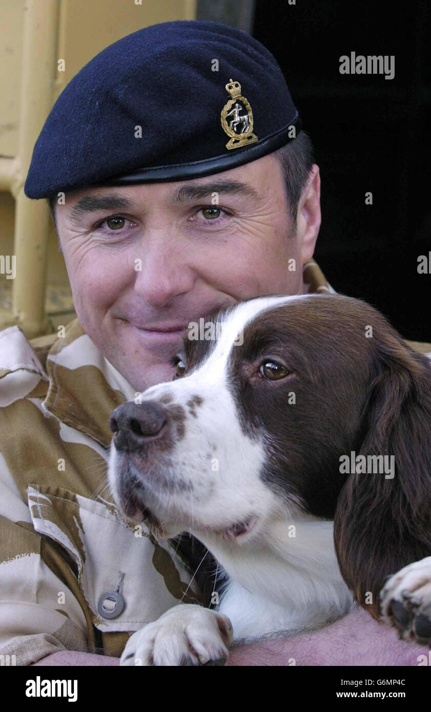 British Army dog Buster with his handler Sgt Danny Morgan after ...