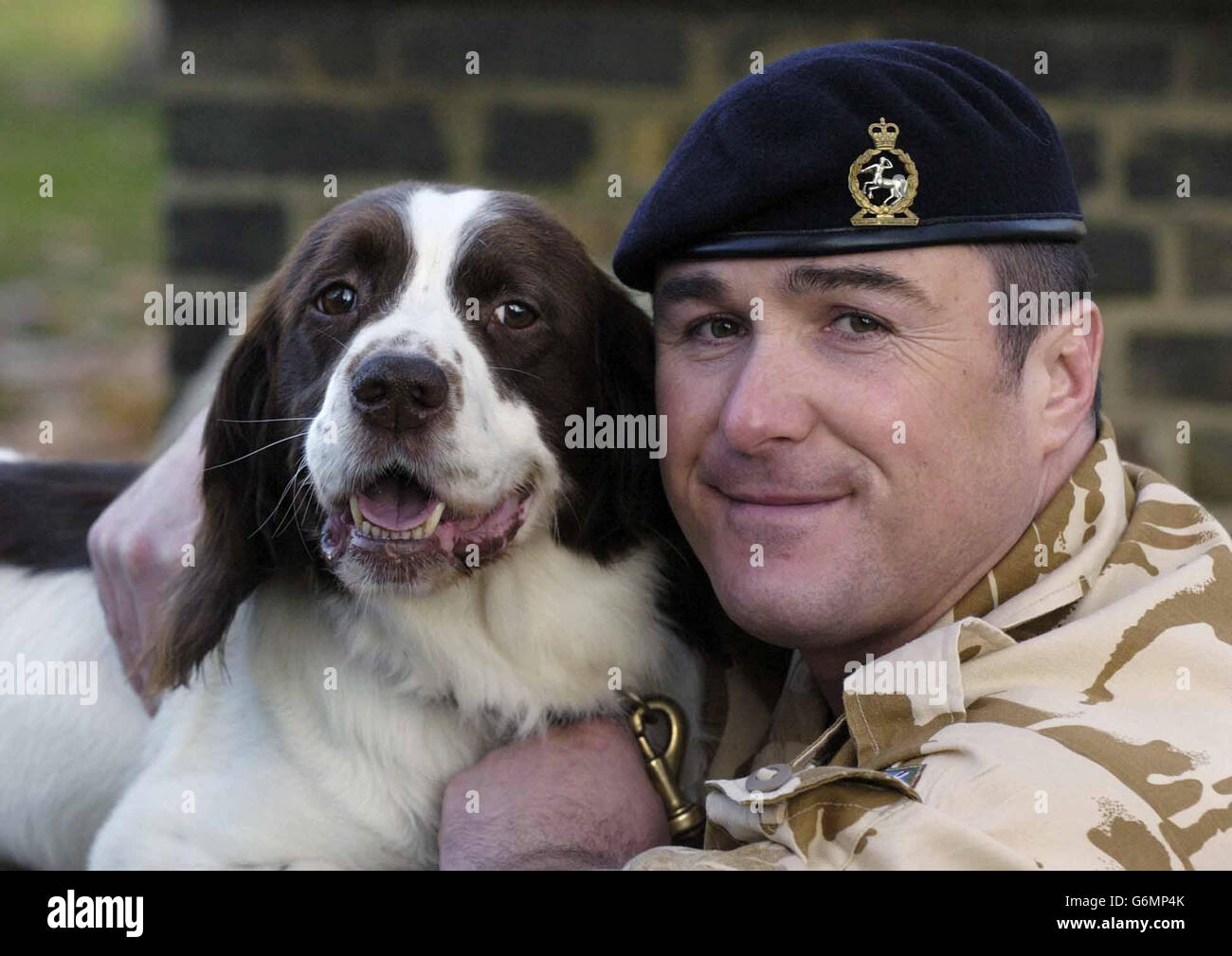 British Army dog Buster with his handler Sgt Danny Morgan after ...