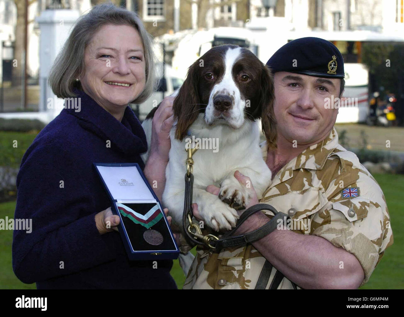 Buster dog iraq hi-res stock photography and images - Alamy