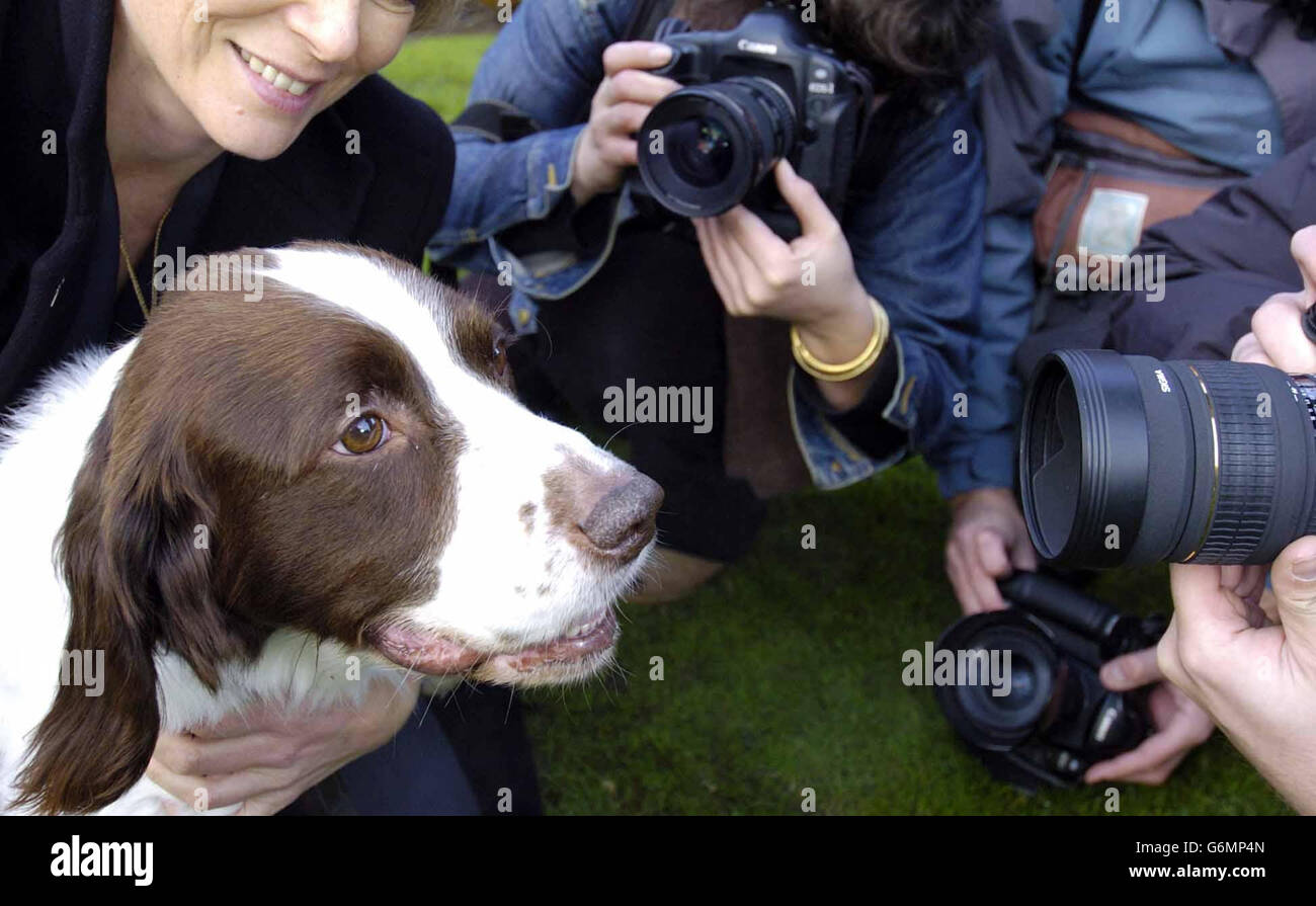 British Army dog Buster faces the media after receiving the PDSA Dickin ...