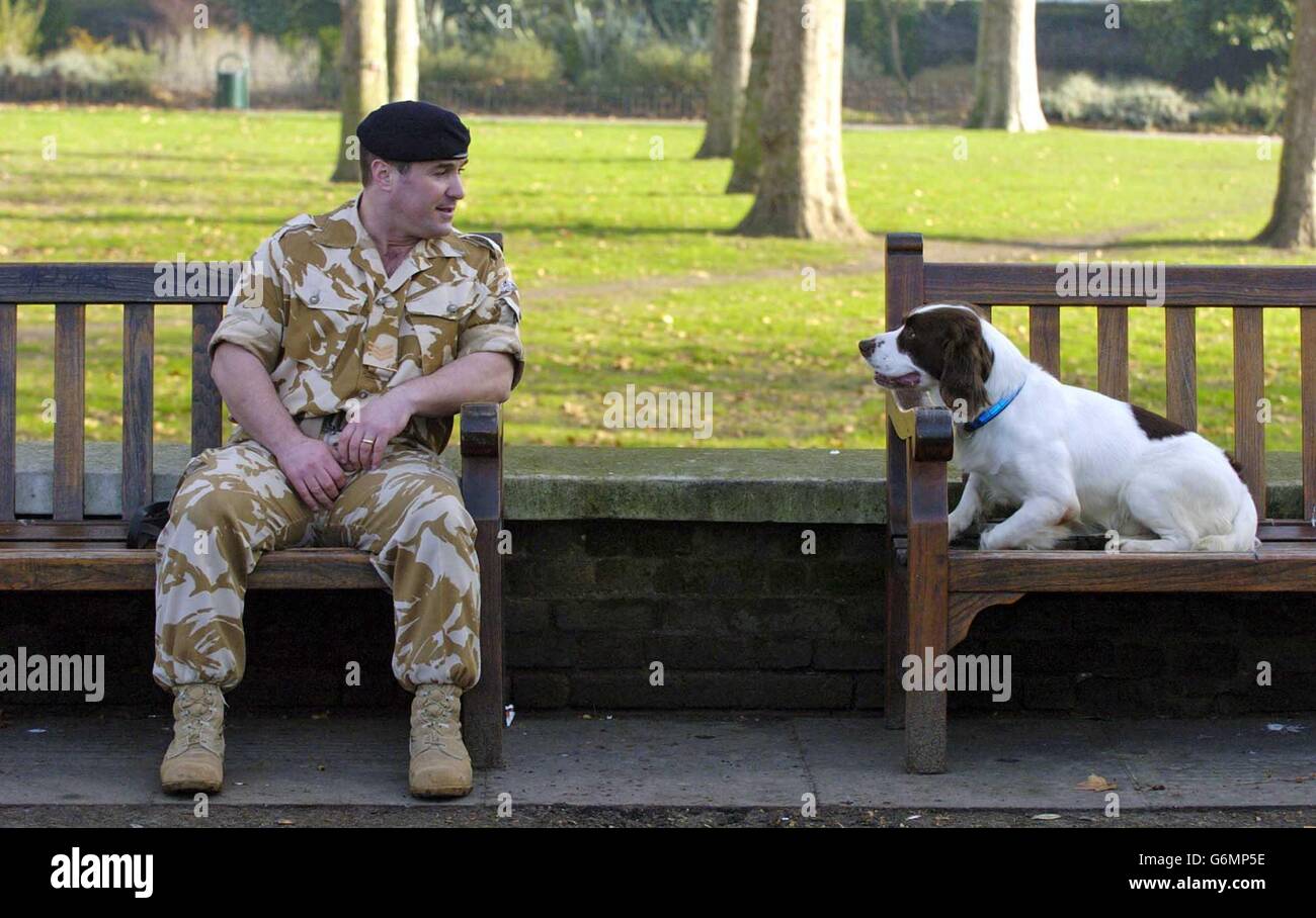 British Army dog Buster gets awarded the PDSA Bravery Award for ...