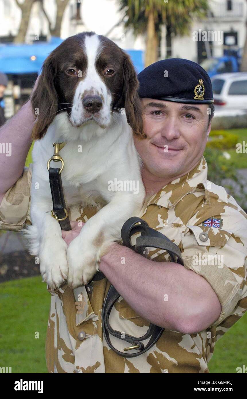 British Army dog Buster gets awarded the PDSA Bravery Award for ...