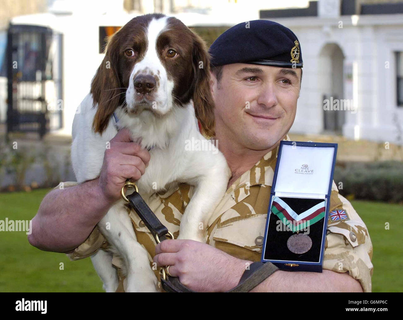 Animals military award hi-res stock photography and images - Alamy