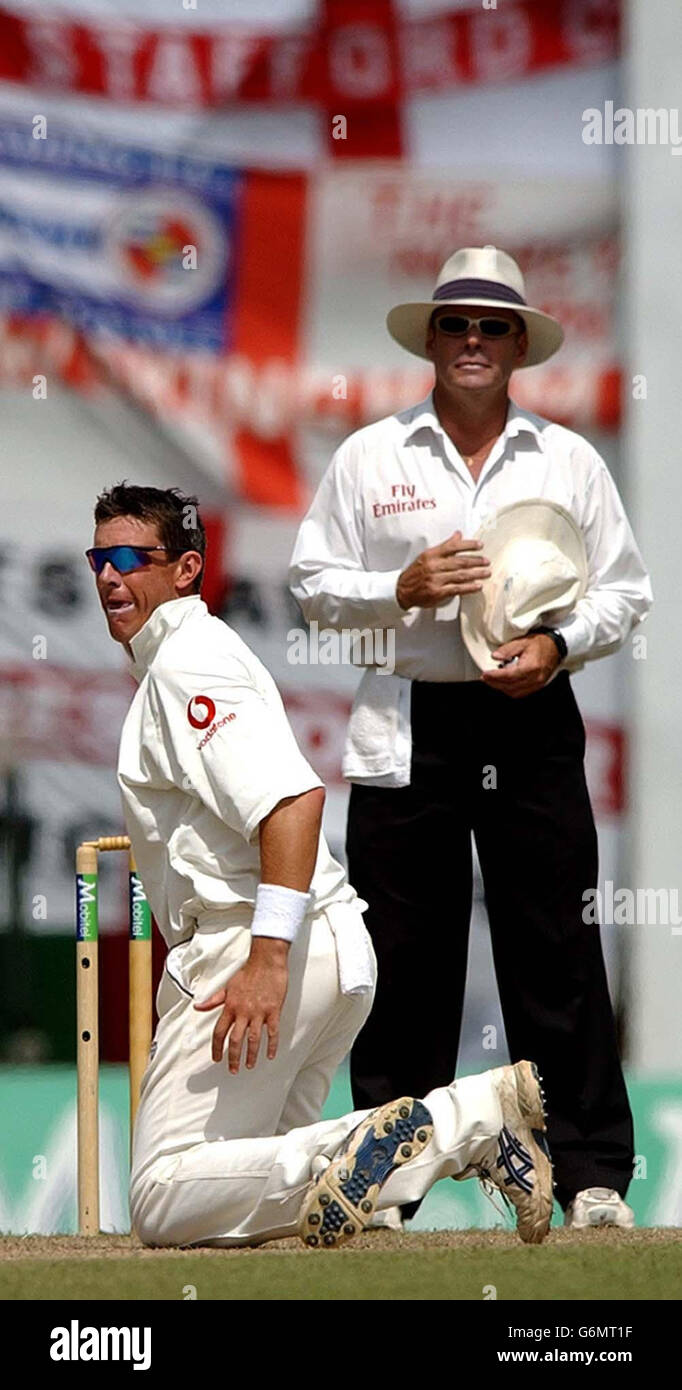 Ashley Giles is frustrated as umpire Daryl Harper turns down another ...