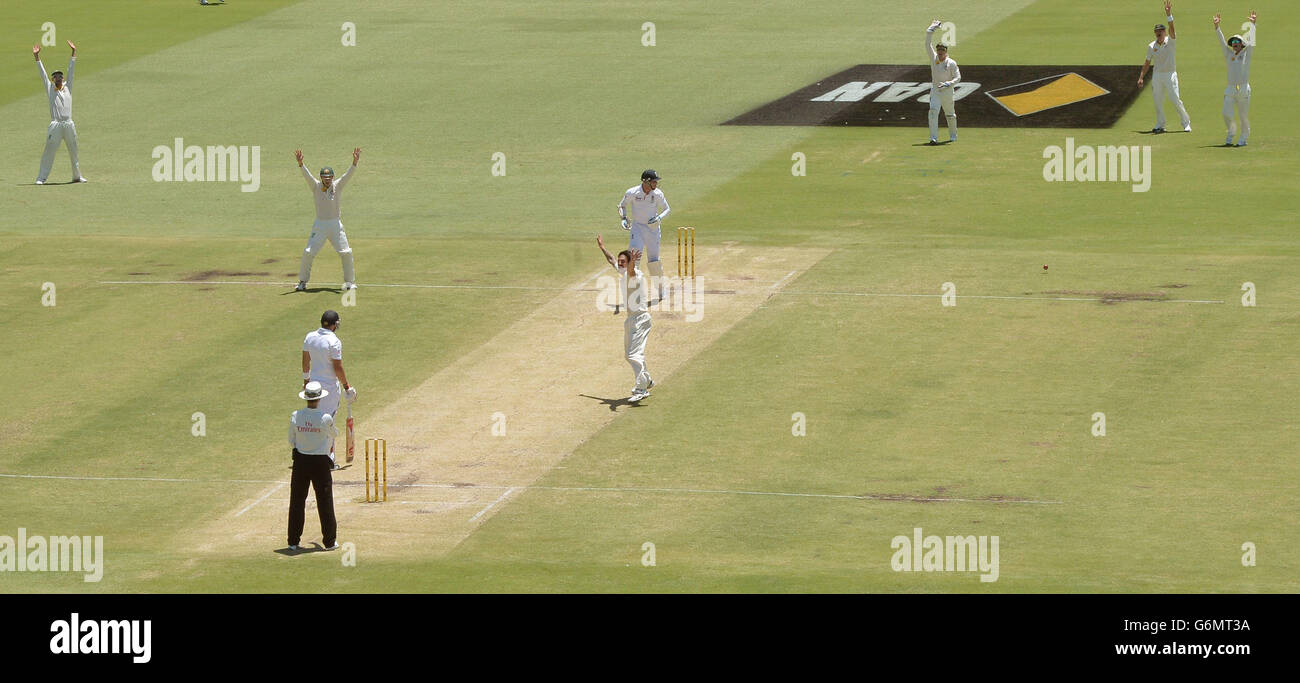 Australia's Mitchell Johnson (left) takes the wicket of England's ...