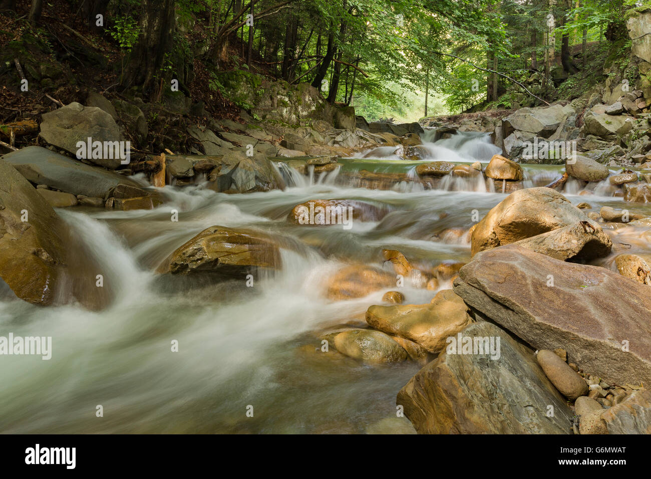 Stream blur forest hi-res stock photography and images - Alamy