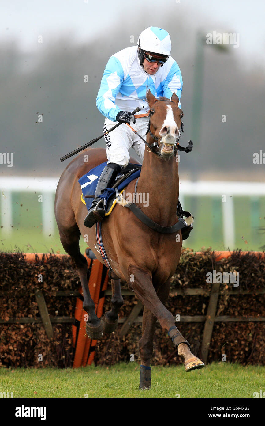 Full length horse racing races action hi-res stock photography and ...