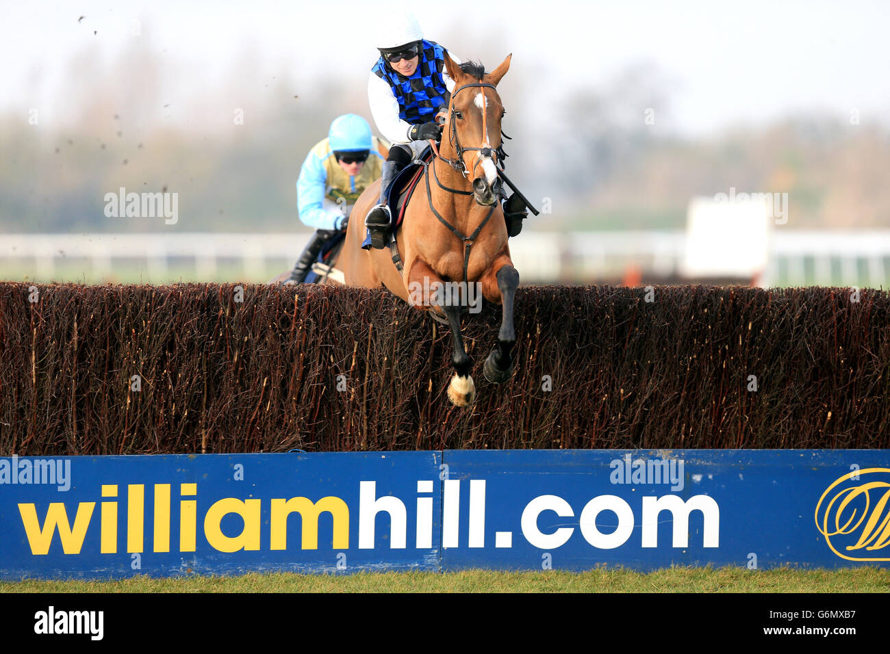 Horse racing horseracing races full length sign signage hi-res stock ...