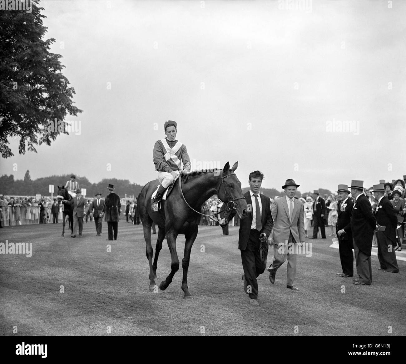 Horse Racing - Ascot Gold Cup - Royal Ascot Stock Photo - Alamy