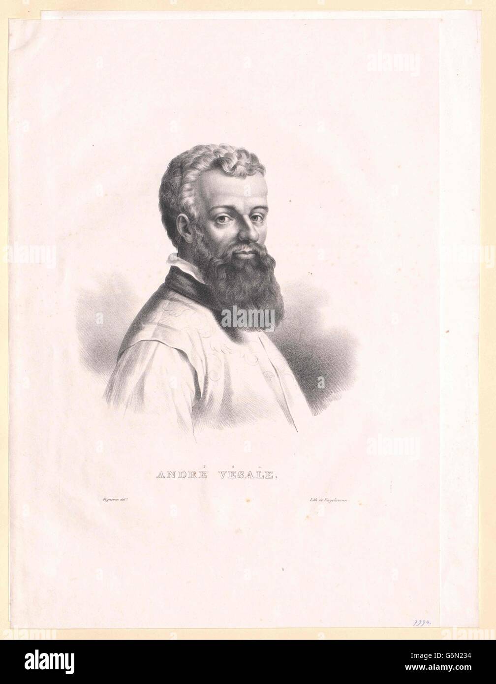 Vesalius andreas hi-res stock photography and images - Alamy