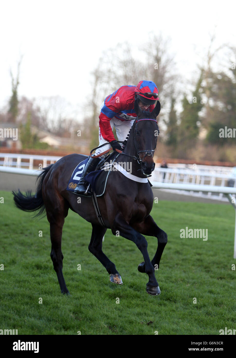 Sprinter Sacre ridden by Barry Geraghty goes to post before the ...