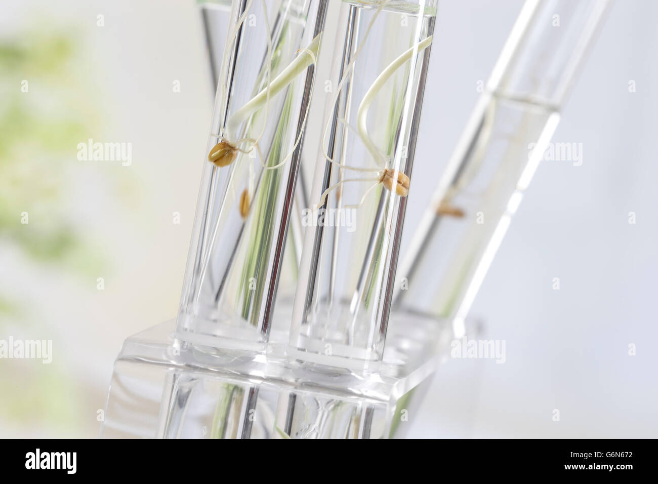 Image of biotechnology Stock Photo - Alamy