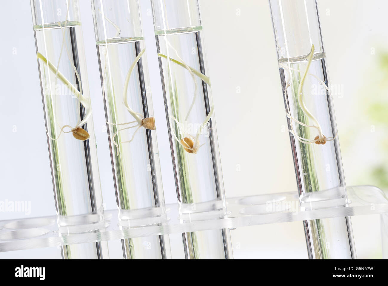 Image of biotechnology Stock Photo - Alamy