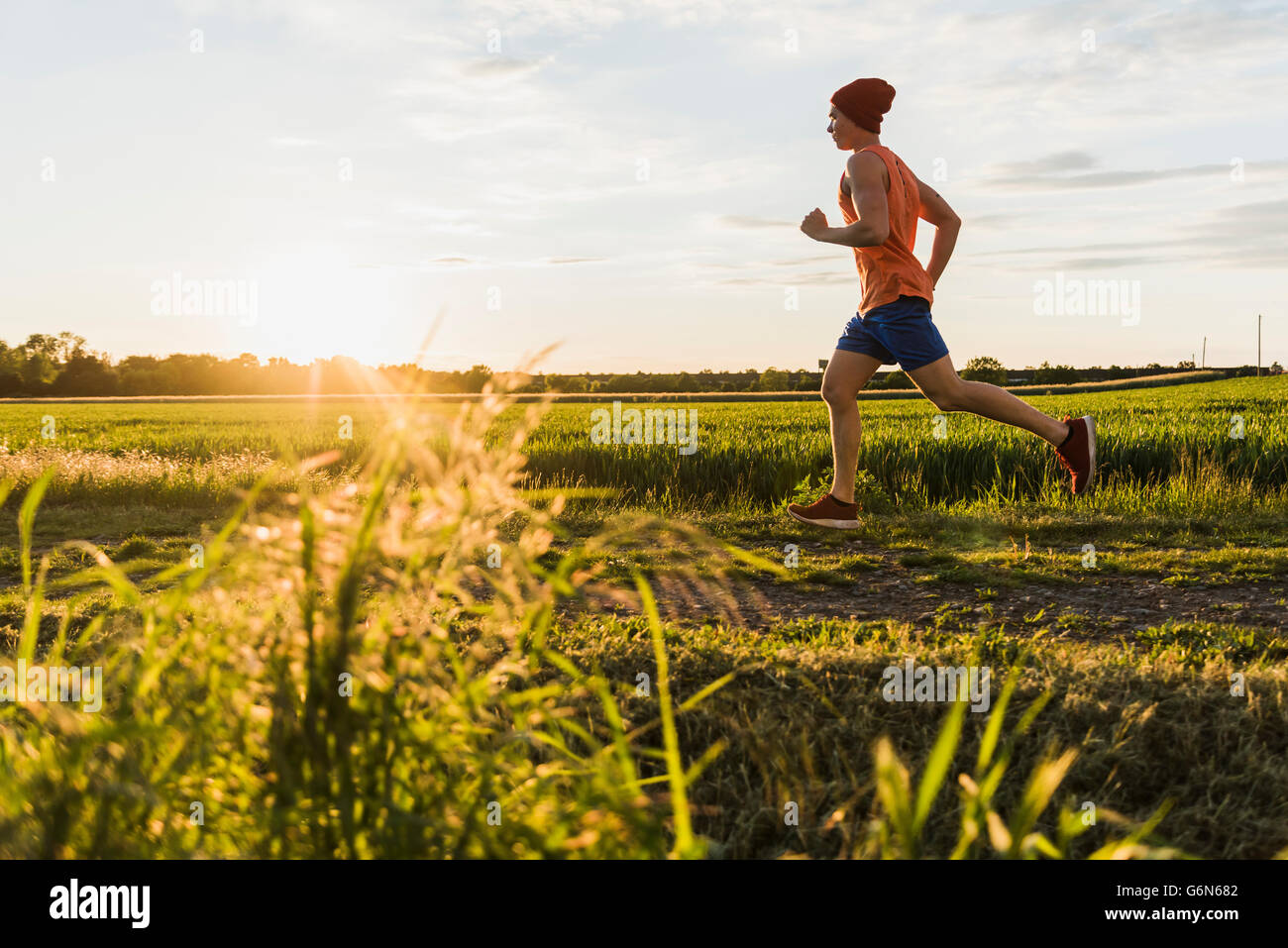 Germany, young man jogging, against the sun Stock Photo - Alamy