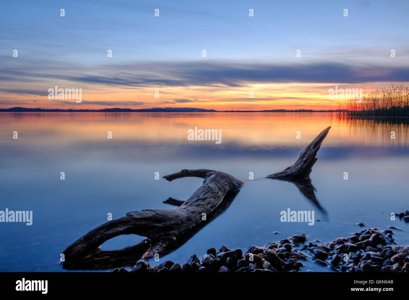 Germany, Bavaria, Chiemsee, Lake Uebersee in the evening Stock Photo ...