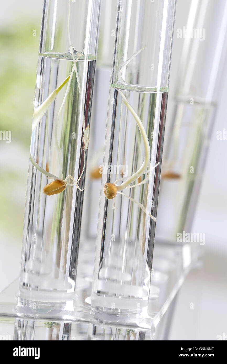 Image of biotechnology Stock Photo - Alamy