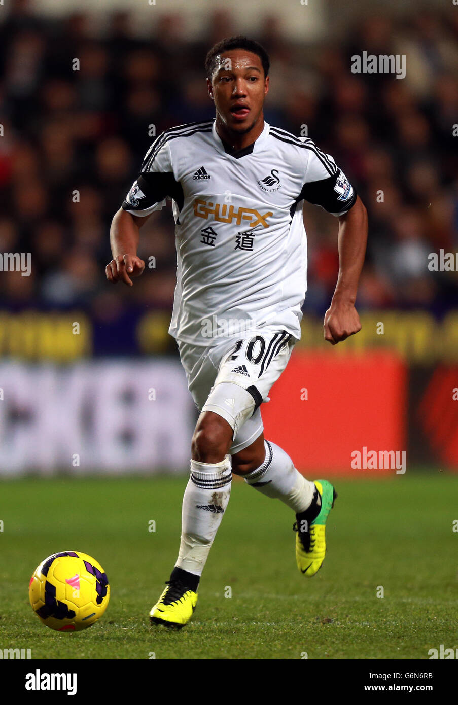 Football swans tigers hi-res stock photography and images - Alamy