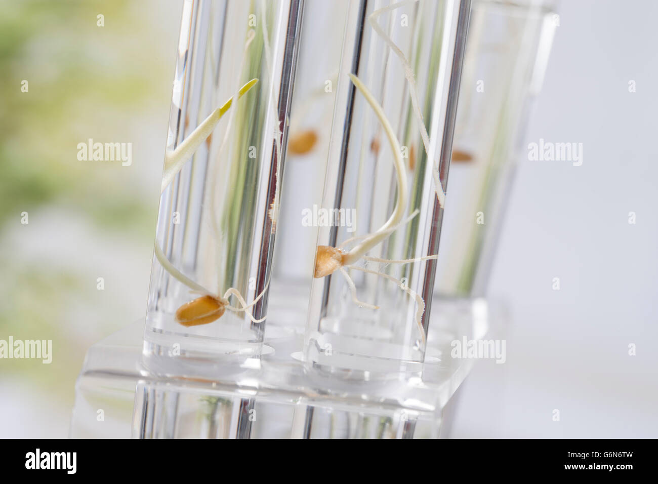 Image of biotechnology Stock Photo - Alamy
