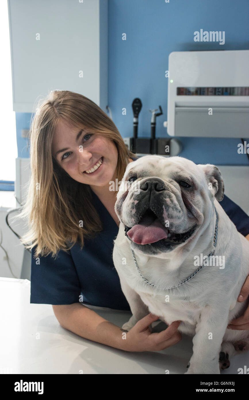 Portrait of smiling veterinarian with dog in a veterinary clinic Stock ...