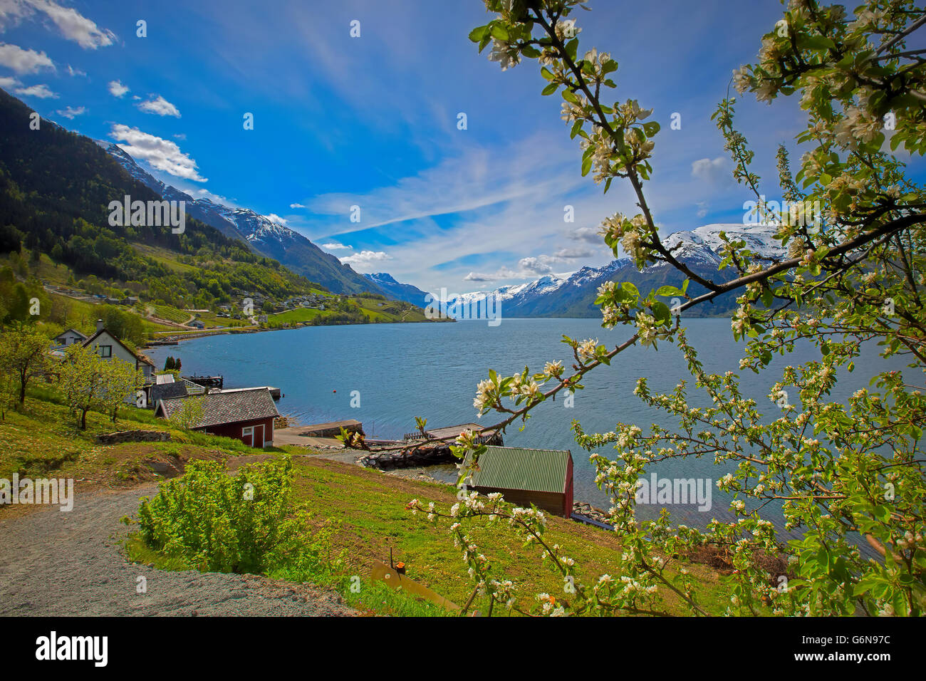 Hardangerfjord in Norway Stock Photo - Alamy