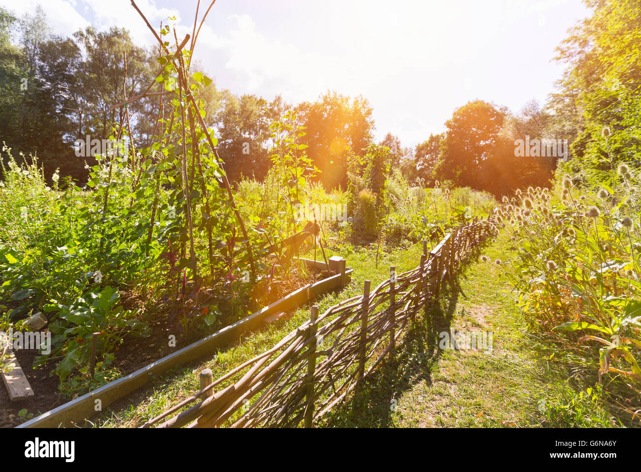 Germany, Bavaria, urban communal garden Stock Photo - Alamy