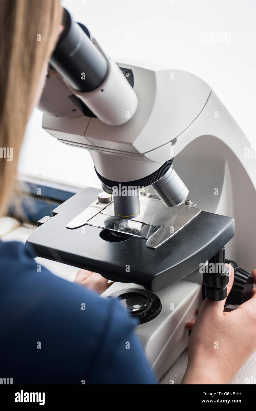 Woman using a microscope Stock Photo - Alamy