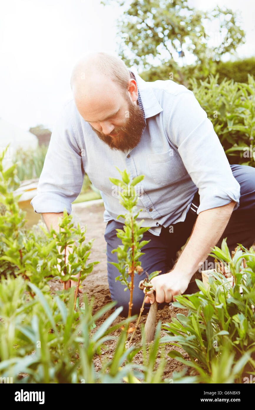 Young man working in garden, sowing plants Stock Photo - Alamy