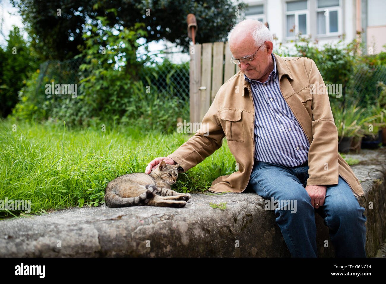 Mature man petting a cat Stock Photo - Alamy