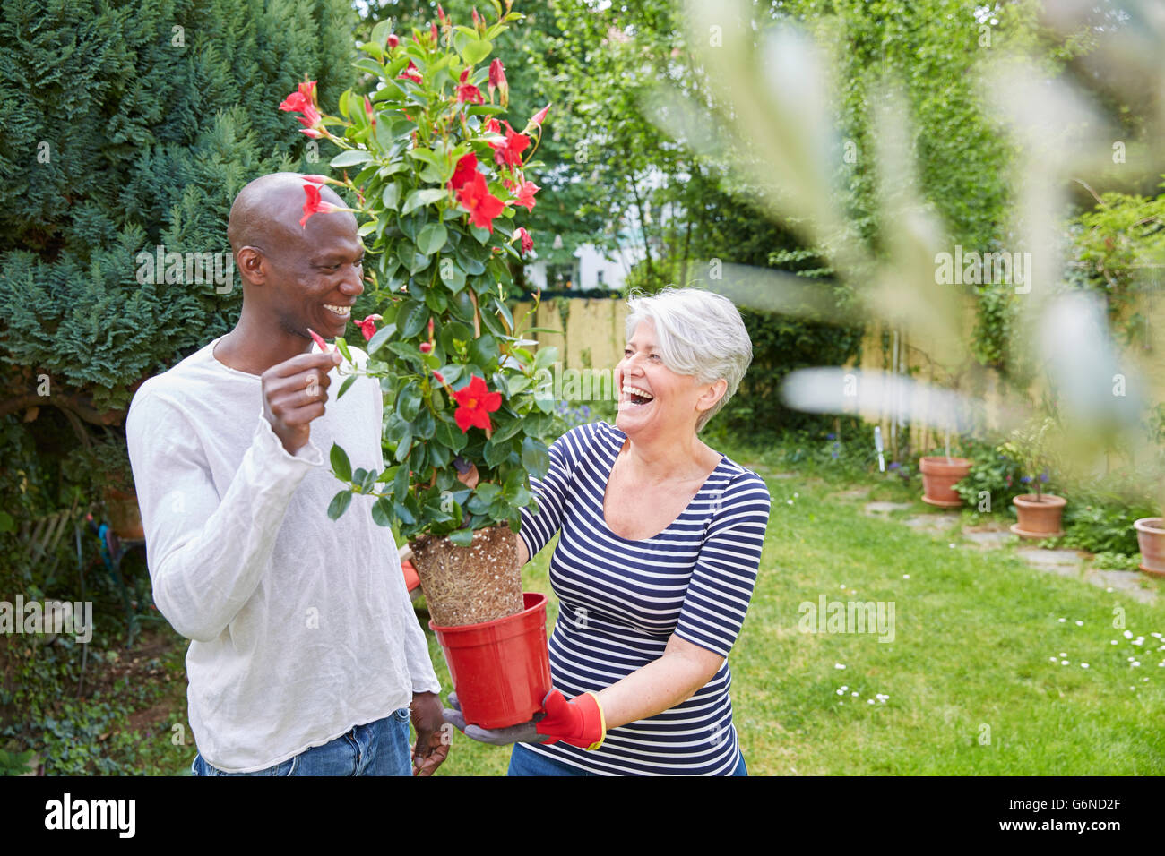 Laughing neighbours in the garden Stock Photo - Alamy