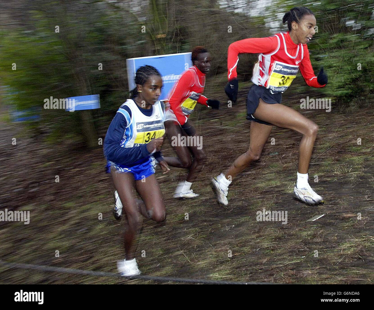 The Cross Country Championships Stock Photo - Alamy