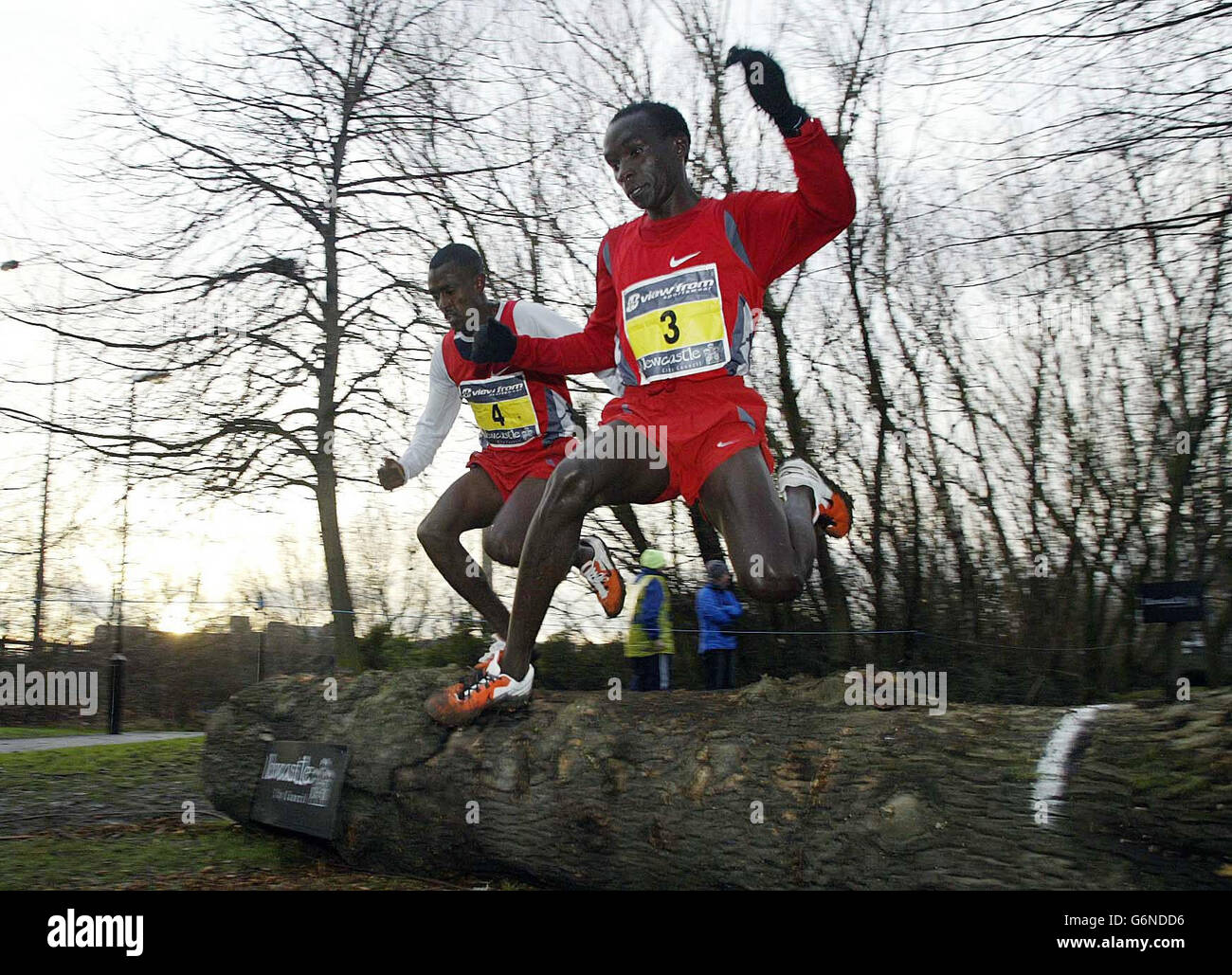 Great North Cross Country Championships Stock Photo - Alamy