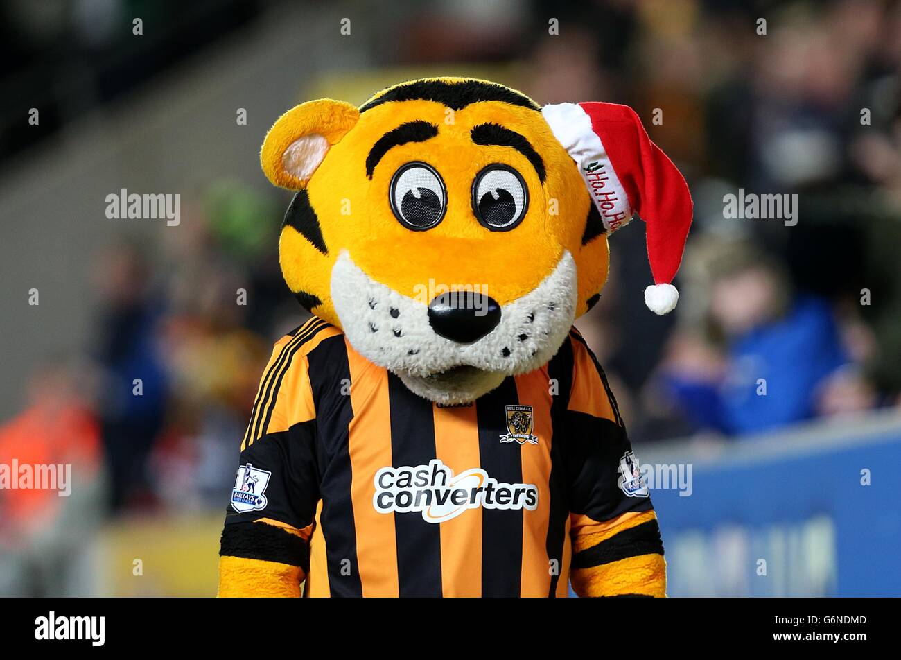 Hull city mascot roary the tiger hi-res stock photography and images ...