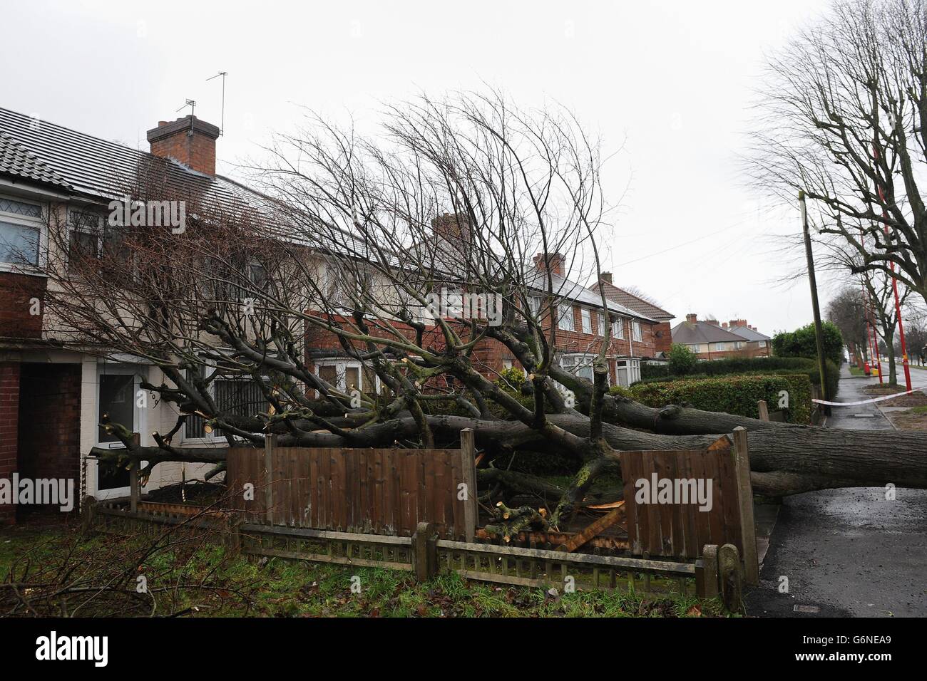 A fallen tree lies against a house on Kings Road in Kingstanding ...