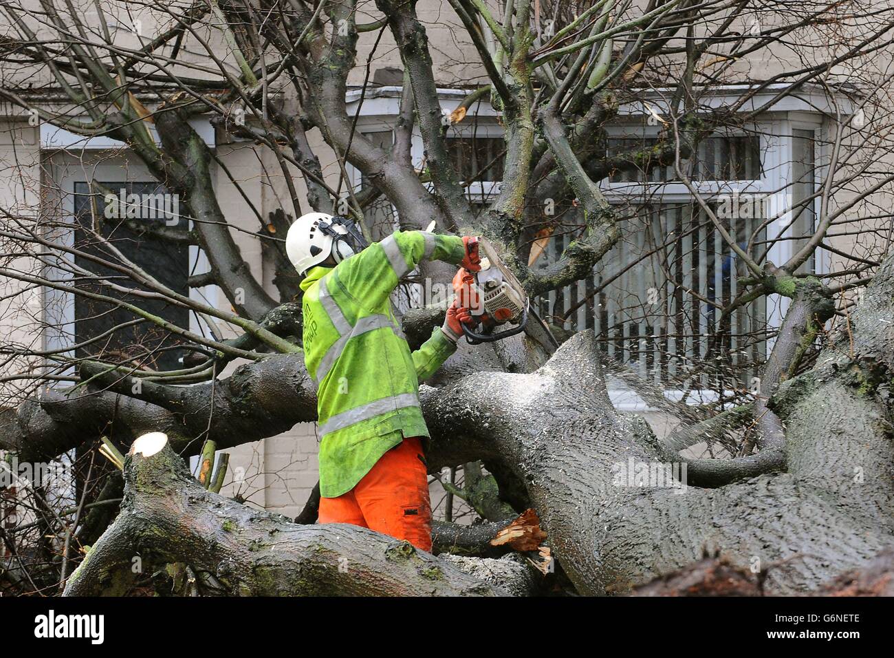A tree surgeon works to remove a fallen tree from the front of a house ...