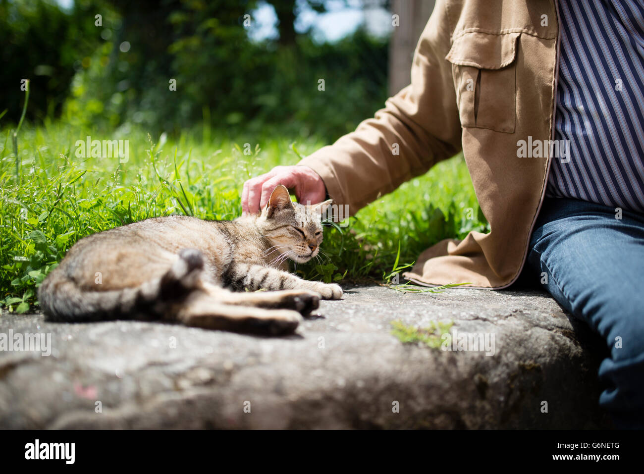 Man with a cat hi-res stock photography and images - Alamy