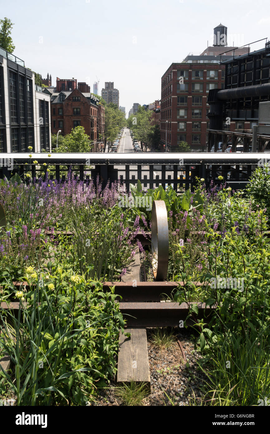 Landscaping on High Line Park, NYC Stock Photo - Alamy