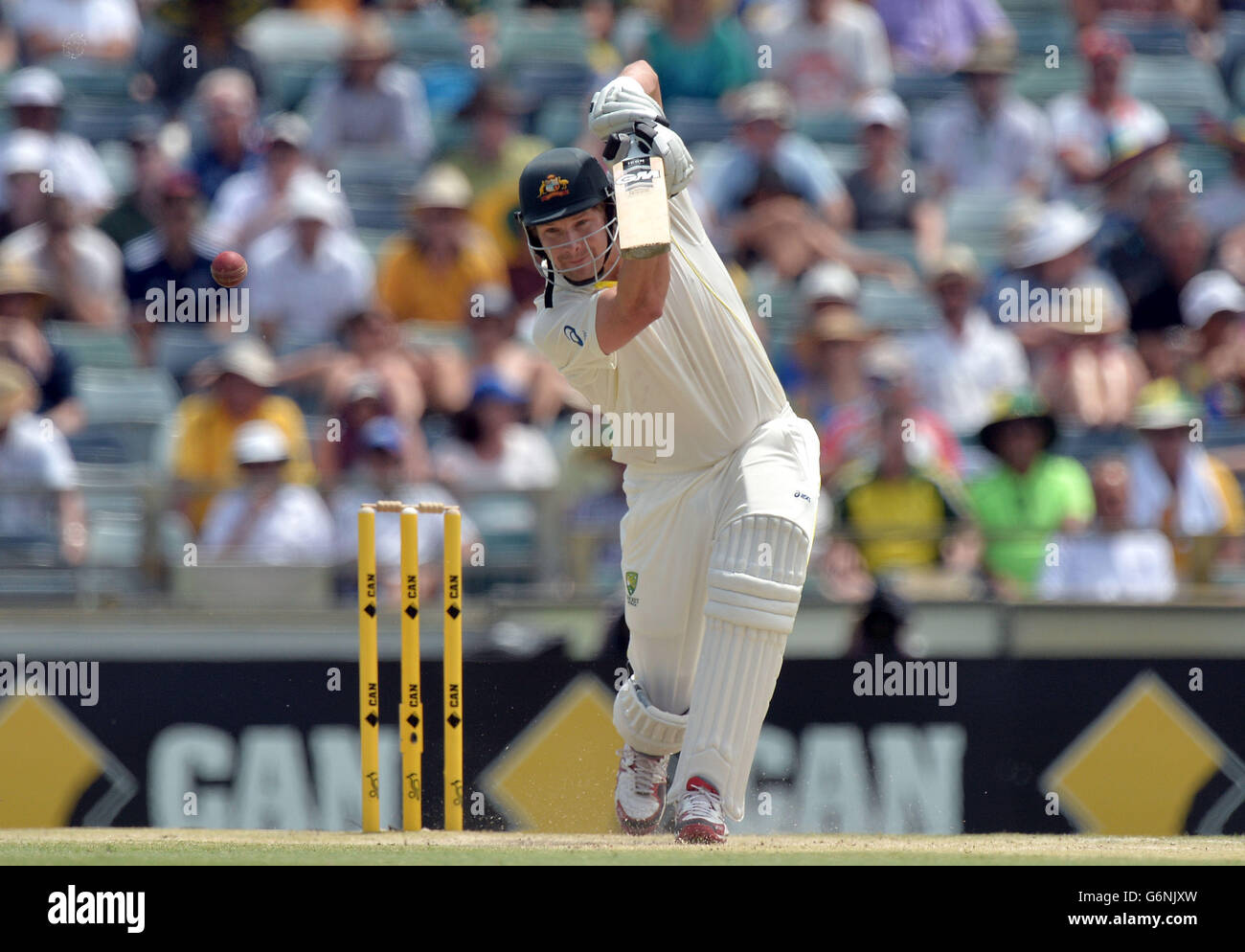 During the third ashes test at the waca cricket ground hi-res stock ...
