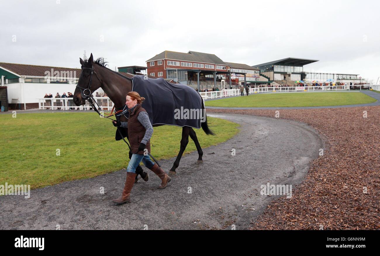 Big bucks in pre parade ring festive fun raceday racecourse hi-res ...
