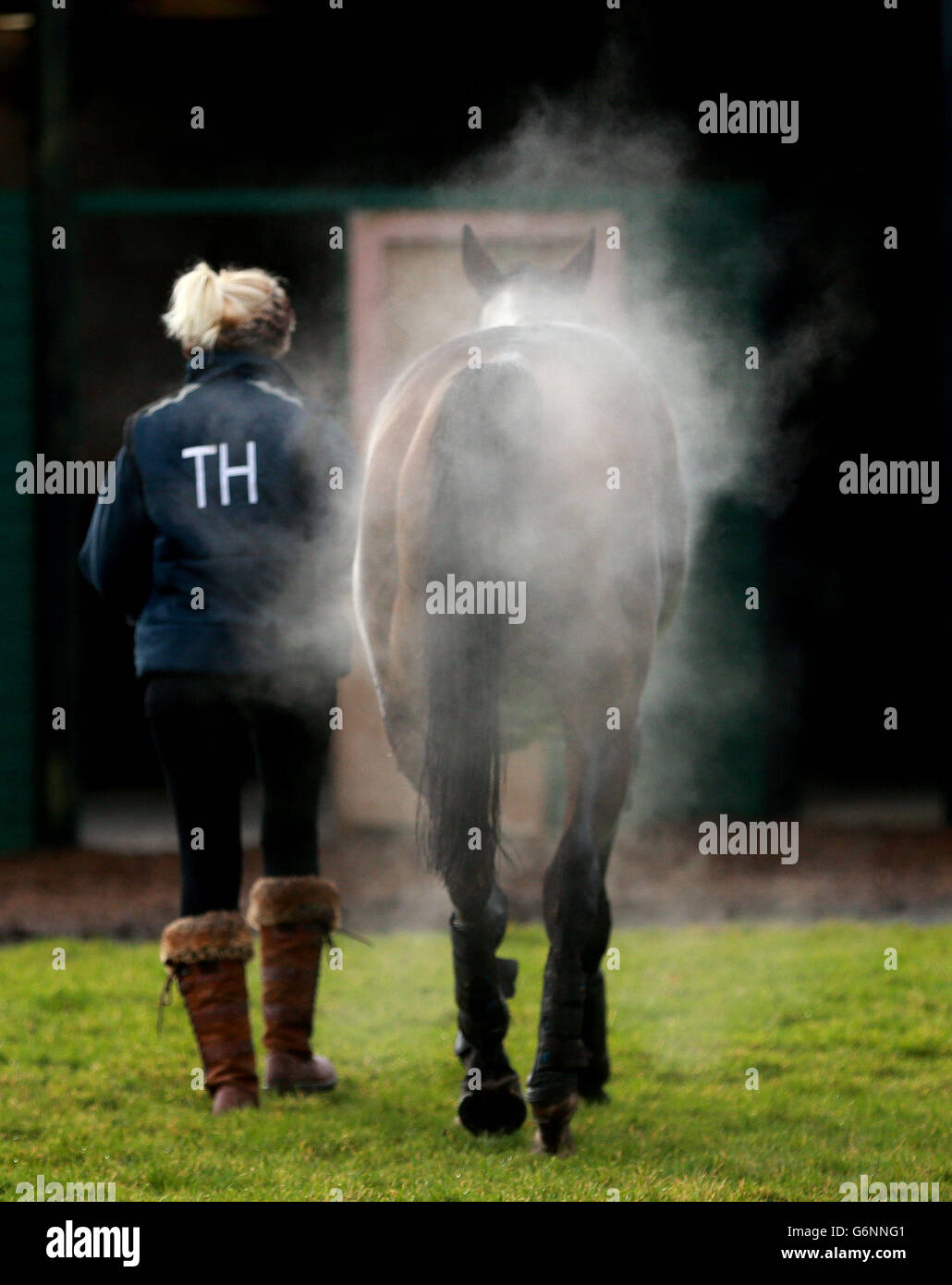 A horse makes his way back to the stables after the Exeter Racecourse ...