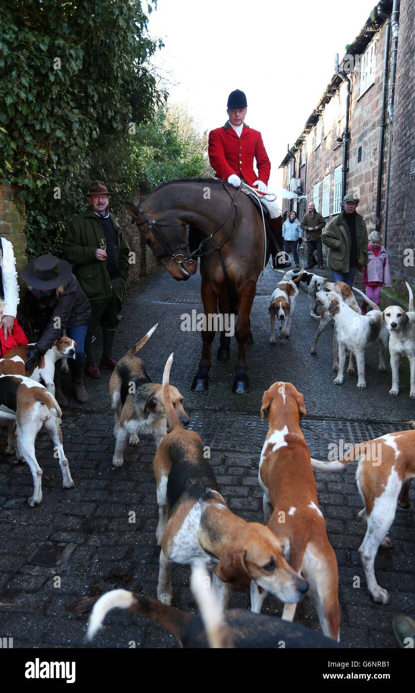 Riders horses cheshire hunt leaves swan in tarporley hi-res stock ...