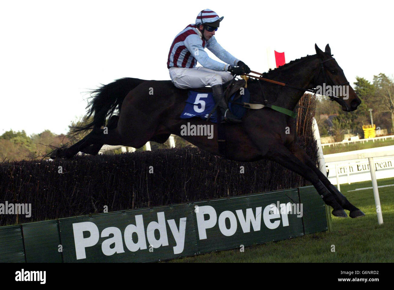 Jim culloty best mate hi-res stock photography and images - Alamy