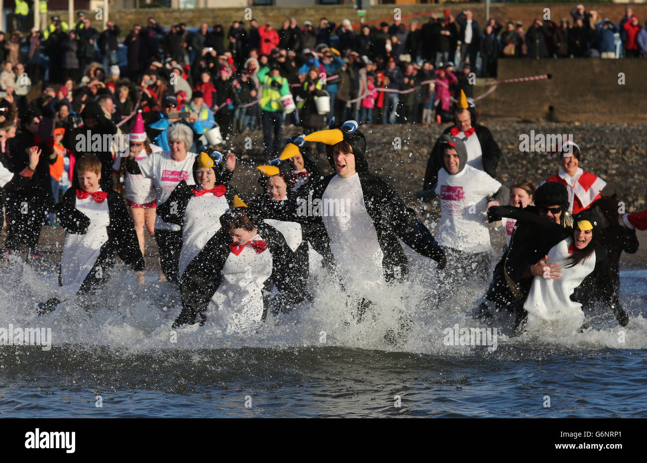 Money swim hi-res stock photography and images - Alamy