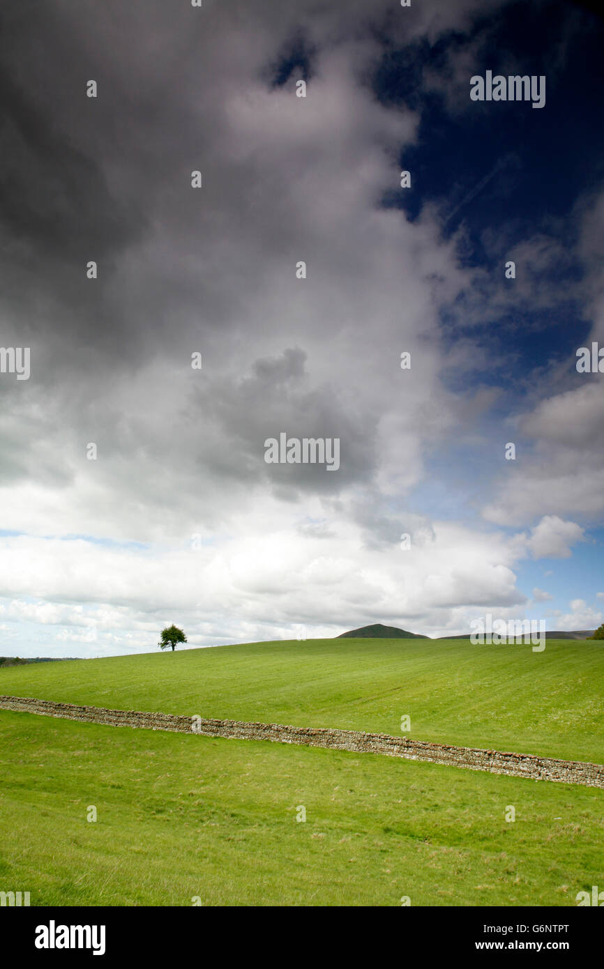 Distant view of Dufton Pike, Eden Valley, Cumbria, England, UK Stock ...