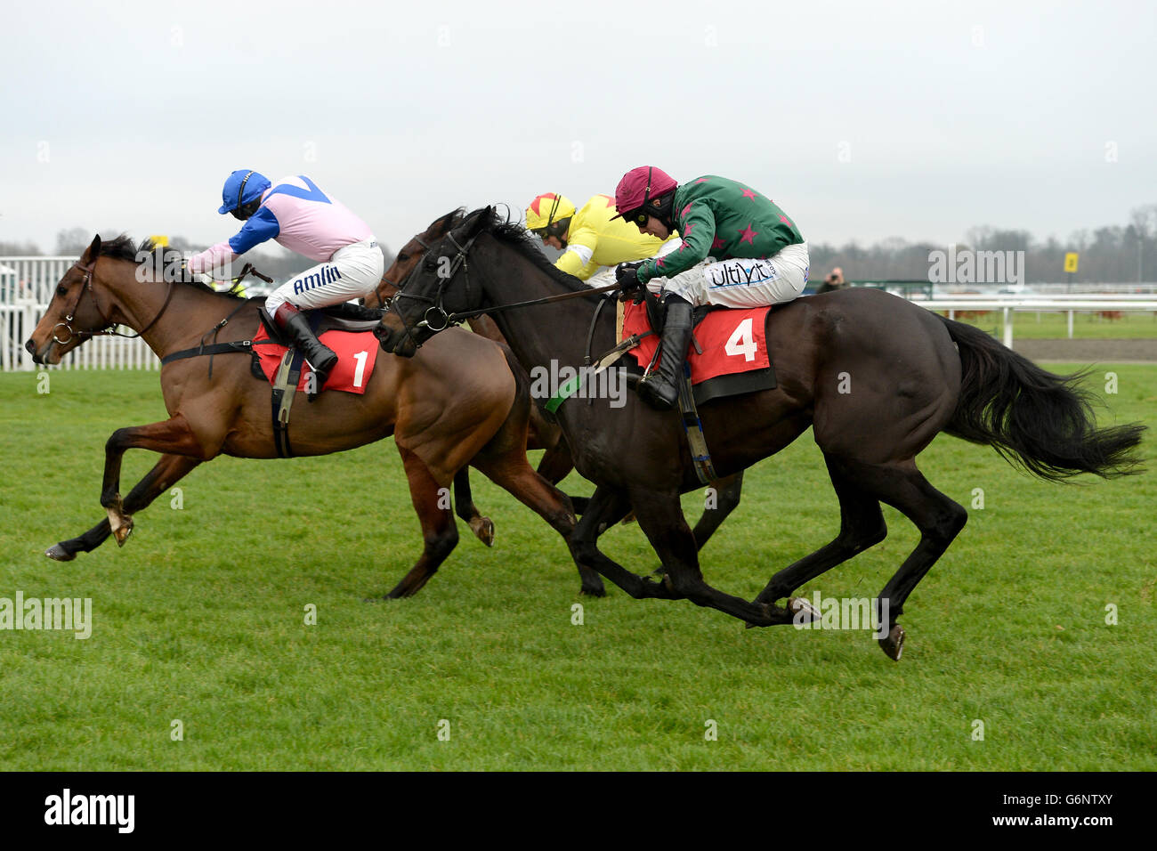 Domonic hi-res stock photography and images - Alamy