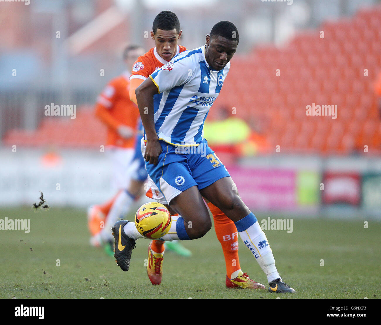 Brighton hove albions rohan ince hi-res stock photography and images ...