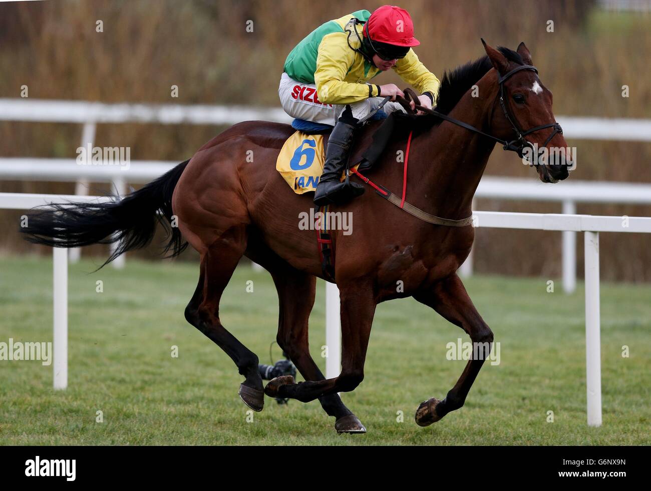 Shanahan's Turn ridden by Andrew Lynch races to the finish on the way ...