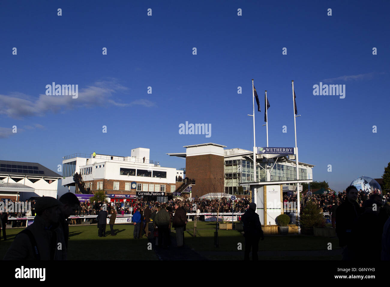 A general view of the parade ring at Wetherby Racecourse Stock Photo ...