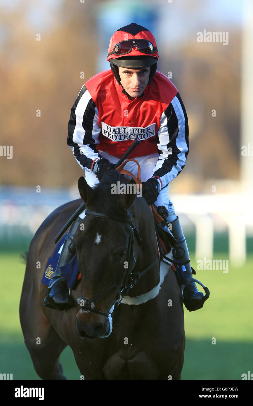 Horse Racing Navan Racecourse High Resolution Stock Photography and ...
